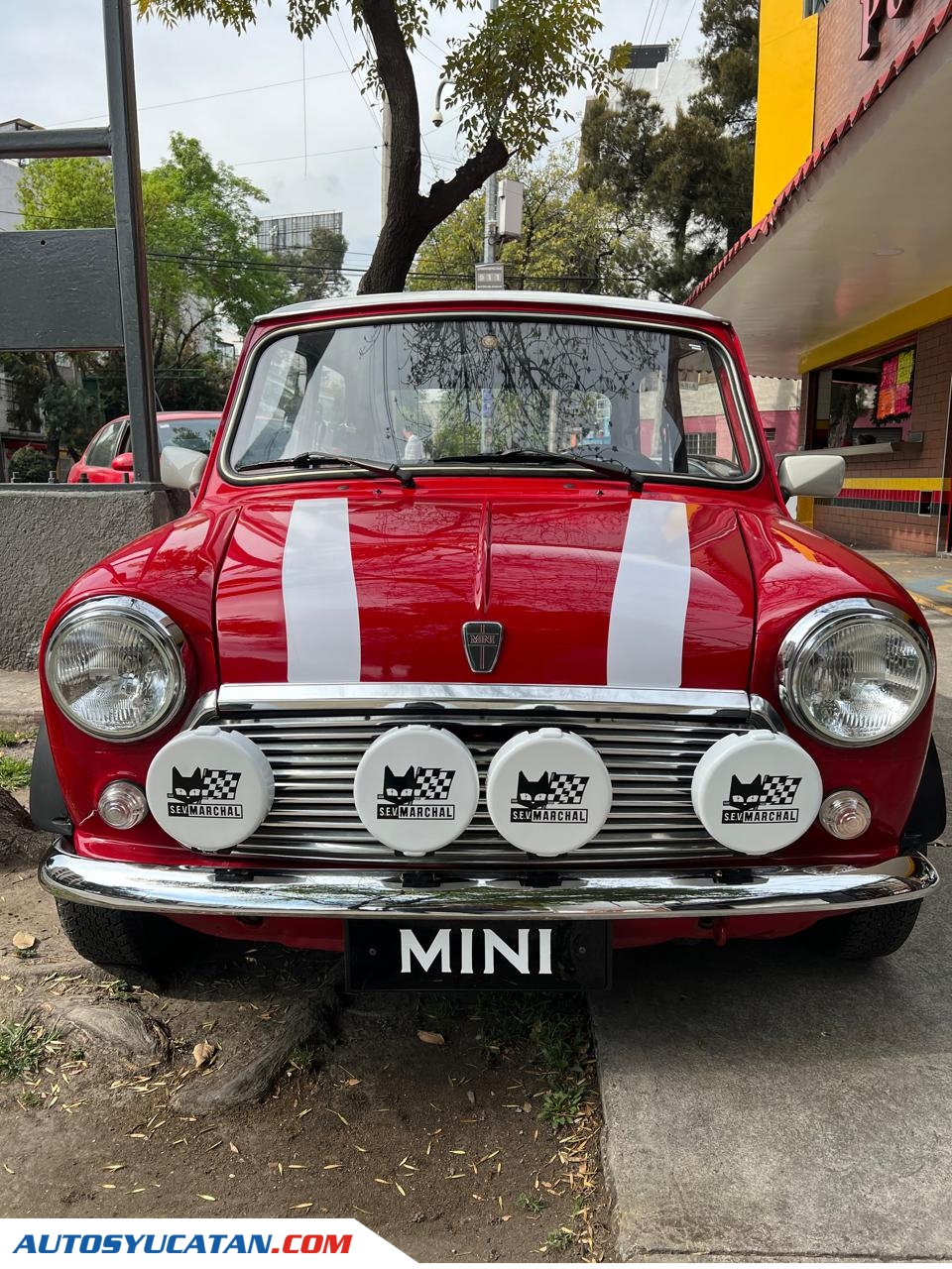 MINI COOPER S 1982 – AutosYucatan.com